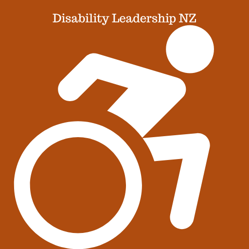 Disability leadership empowering individuals